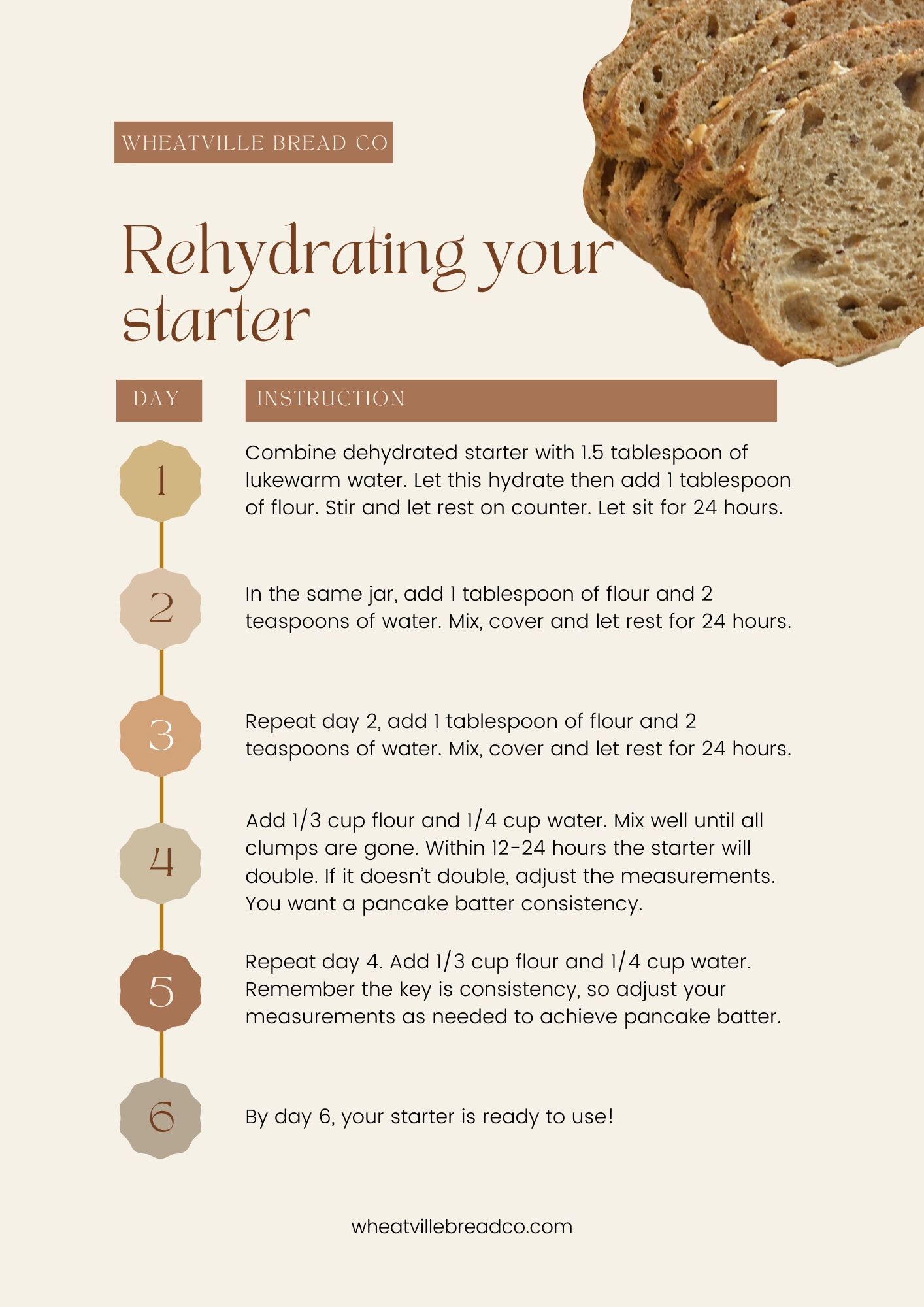 Rehydrating Sourdough Starter